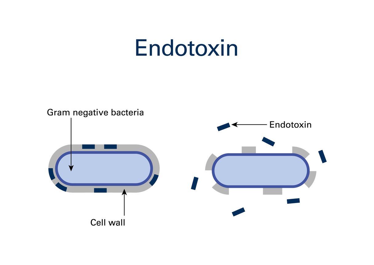 Endotoxin Contamination in Cleanrooms: Sources, Risks, and Strategies ...